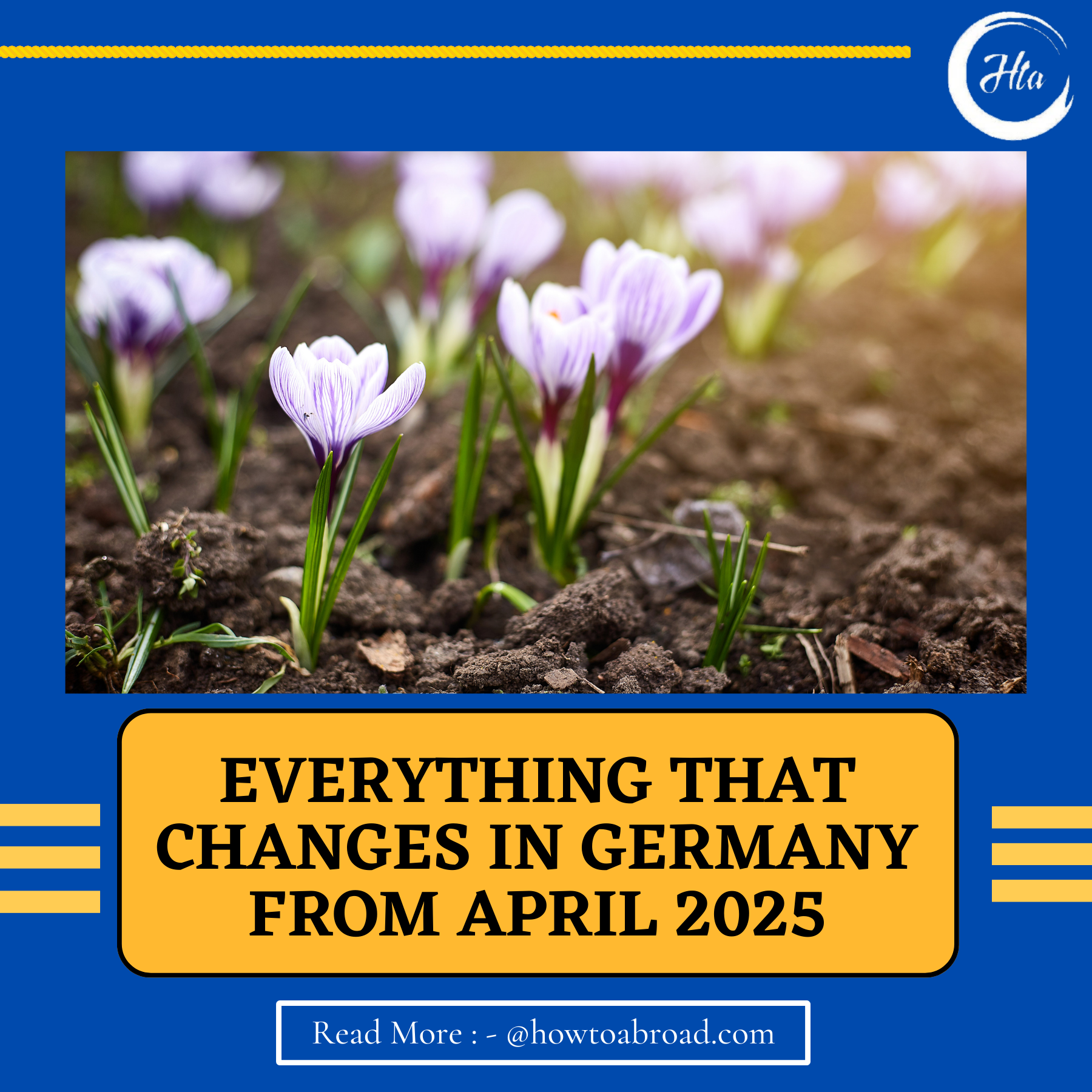 Videx Form Germany – HowToAbroad